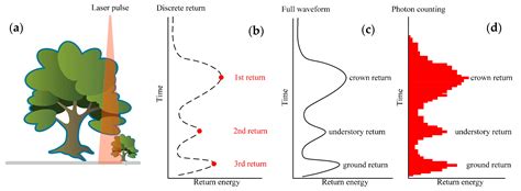 Estimation Of Lai With The Lidar Technology A Review