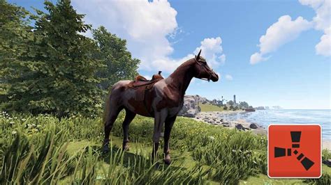 Rust How To Turn Off Grass Is It Possible Gamer Empire