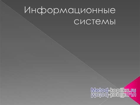 Презентация Информационные системы по информатике скачать проект