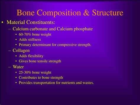 Ppt Bone Structure Growth And Development Powerpoint Presentation Free Download Id6110804