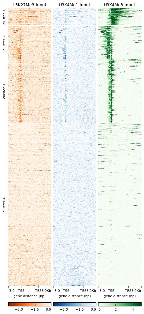 Plotheatmap — Deeptools 356 Documentation