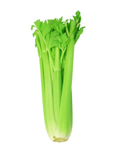 ნიახურის ღერო Extra Ge