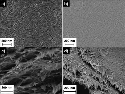 Sem Micrographs Of The Two Nanocrystalline Cellulose Membranes A