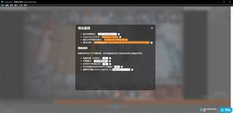Preview Screen Error · Issue 1412 · Mifi Lossless Cut · Github