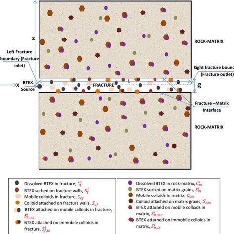 Physical System Showing The Colloid Assisted Btex Transport In A Download Scientific Diagram