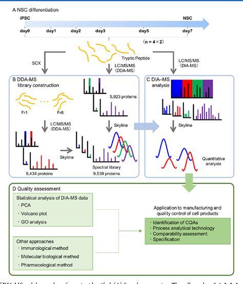 figure 1 from quantitative proteomics for the development and