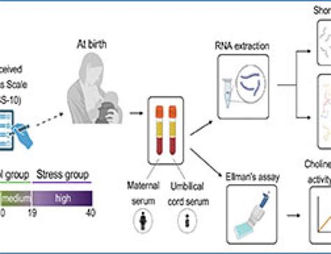 Scnet Integrating Protein Interaction Networks With Rna Sequencing
