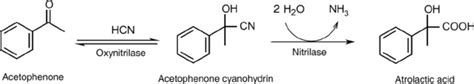 Acetophenone Cyanohydrin