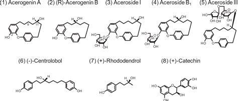 Figure 1 From Osteogenic Activity Of Diphenyl Ether Type Cyclic Diarylheptanoids Derived From