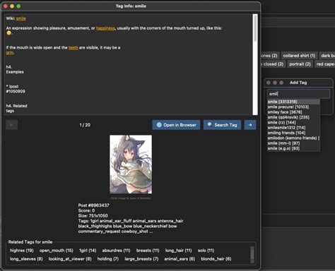So I Built My Own Cross Platform Dataset Processor For Lora Makers That