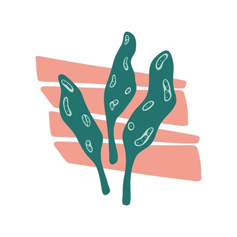 Premium Vector Hand Drawn Green Twigs Grass