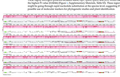 sequence alignment of four chloroplast genomes in solanaceae with a