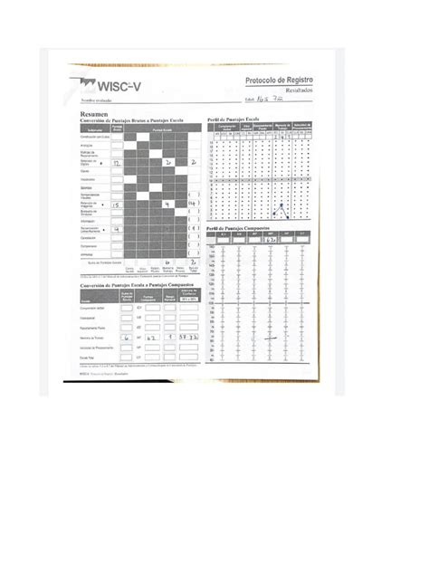 Wisc V Pdf