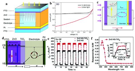 Zno Nns Photoanode A Device Schematic Of Zno Nns Photoanode Based Pecc Download Scientific