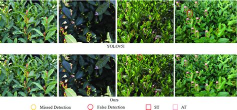 Comparison Of Detection Results On Images Between YOLOv L And The Download Scientific Diagram