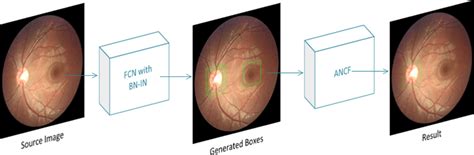 Medical Object Detection Tasks Often Have These Common Characteristics Download Scientific