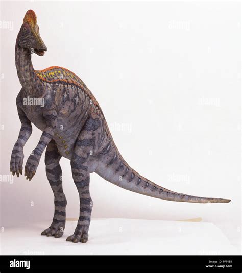 Jurassic Park Corythosaurus