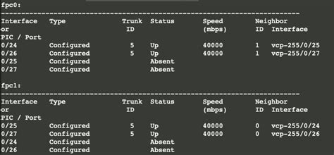 juniper ex4600 virtual chassis config