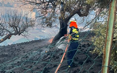 Incendi A Termini Imerese Terranova Cè La Mano Delluomo