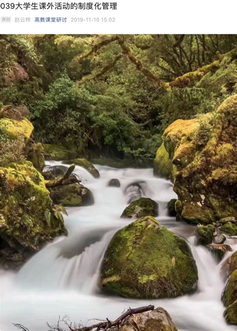 大学生课外活动的制度化管理 知乎
