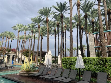 Cassie Calvert On Twitter Hi From Arizona 🌵🌈 Uuyksbvgax