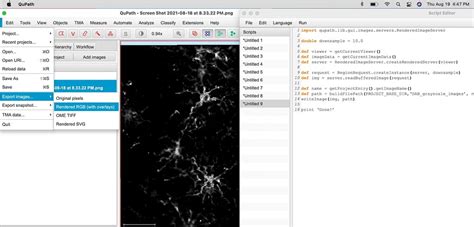 Qupath Scripting Exporting Rendered Images Into A Folder Image