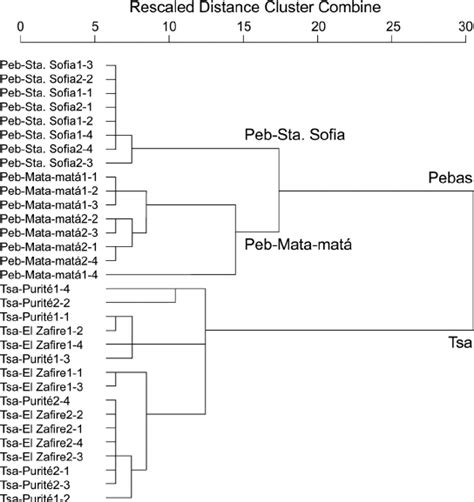 dendrogram of a hierarchical cluster classification based on square