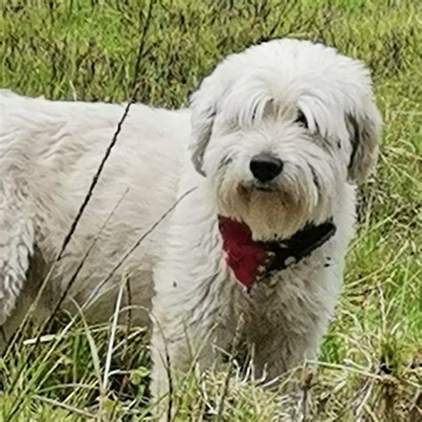 Cynthia Wright Wrightcynthia Twitter