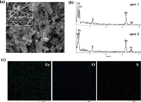 Figure 1 From Facile Synthesis And Characterization Of Fefes Nanoparticles For Environmental