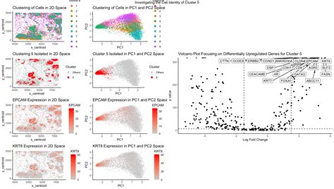 identifying an epithelial cell population within the breast tissue