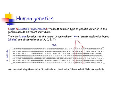Ppt Randomized Algorithms In Linear Algebra And Applications