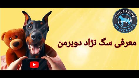 معرفی سگ نژاد دوبرمن Youtube