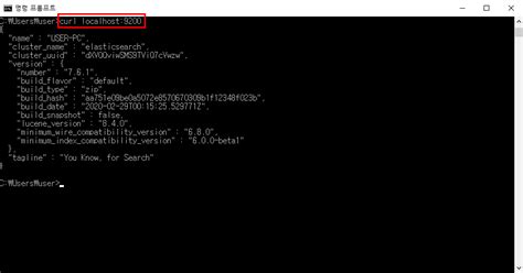 윈도우windows에서 Curl을 사용하여 엘라스틱서치elasticsearch Api 간단 테스트하기