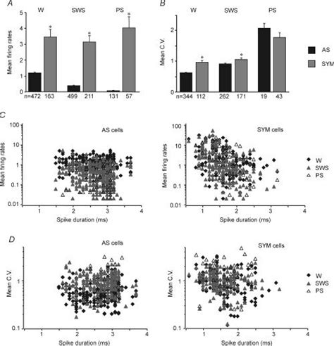 Overall Firing Properties Of Drn Neurons Across The Sleep Wake Cycle
