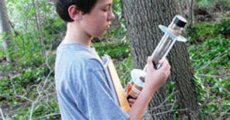 Fibonacci Sequence Inspires Solar Power Design Amnh