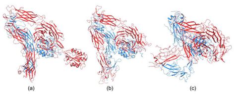 Cells Free Full Text Molecular Modeling Insights Into The Structure