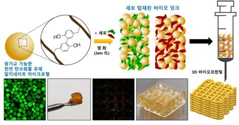 해조류 성분으로 미래 배양육 만들까고해상도 바이오잉크 개발