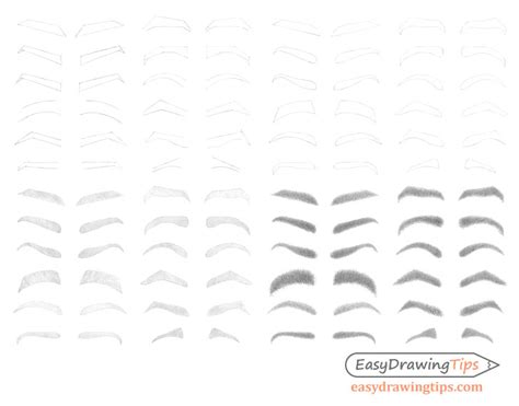 How To Draw Eyebrows Step By Step EasyDrawingTips