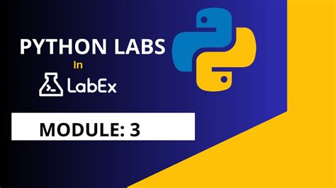 Third Python Lab Python Labs Using Labex Sarangs Skill Studio Youtube