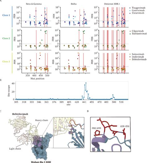 Figure 2 From Mutations In The Sars Cov 2 Spike Receptor Binding Domain And Their Delicate