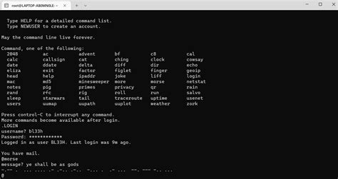 Github Bl33htheinternetbeforetheweb Brief Experience On How The Internet Worked Before The