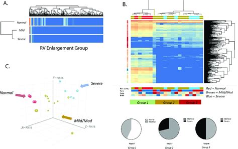 Hierarchical Clustering Of Patients Based On Mirna Expression Shows