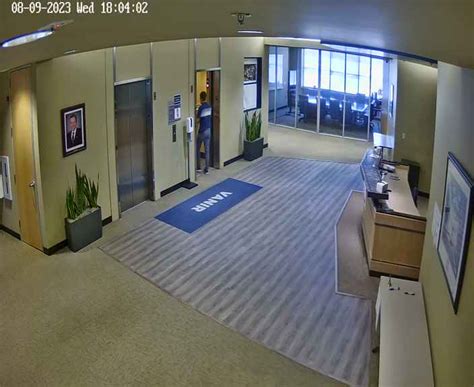 Vanir Object Detection Dataset By Evolution