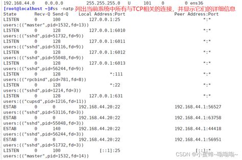 linux网络配置指南：ifconfig bonding 路由与dns解析 csdn博客