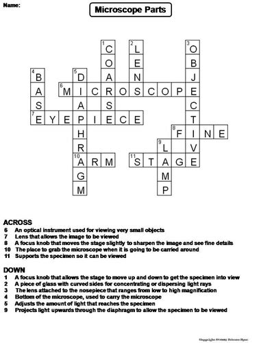 Parts Of A Microscope Crossword Puzzle Teaching Resources