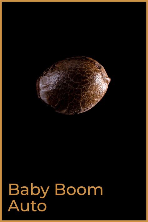 Baby Boom Auto Loyalty Genetics