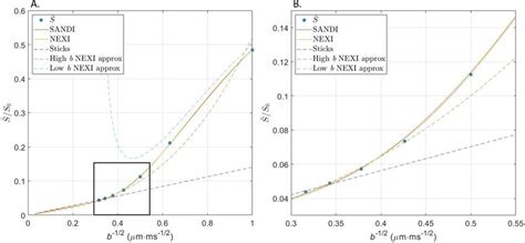 A Various Models Were Fit To The Average Signal In The Cortex Rat 2