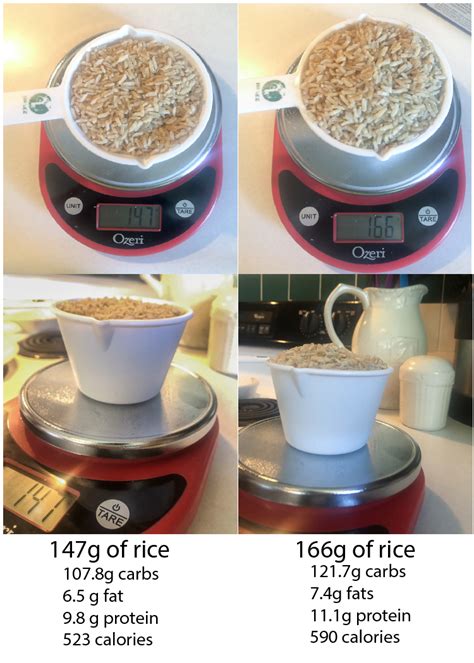 Macros 101 — Pine Tree Training
