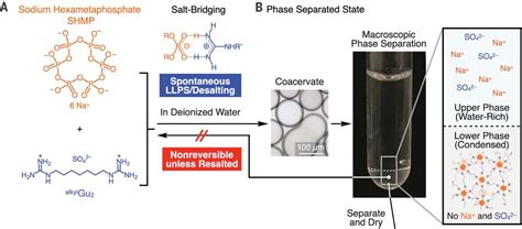 Goodbye Microplastics New Recyclable Plastic Breaks Down Safely In