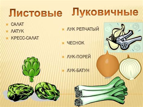 Приготовление и оформление блюд из варёных овощей презентация онлайн